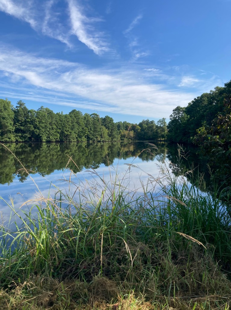 Use Your Resources – Simply Splendid Life
