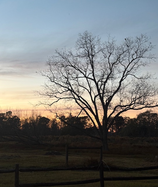 Pocket Of Peace – Simply Splendid Life